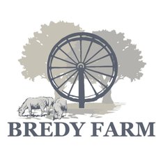 Bredy Farm tickets and events | FIXR